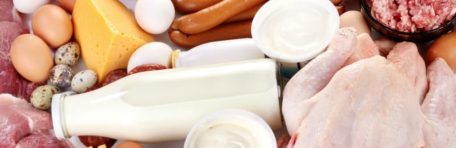 Asparagine, een essentieel aminozuur voor de hersenen - Food in action