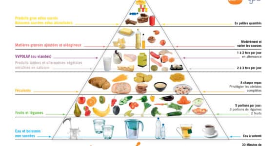Le triangle alimentaire fait peau neuve en Flandre| Food in Action