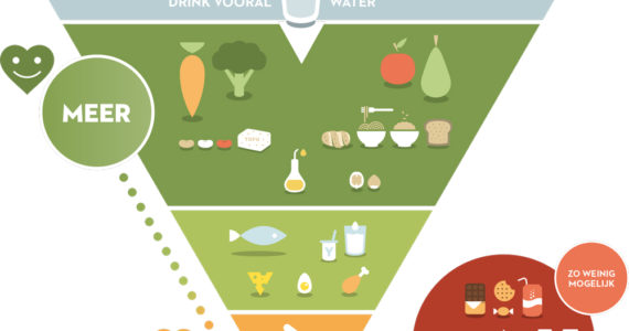 Le triangle alimentaire fait peau neuve en Flandre| Food in Action
