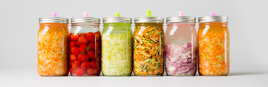 Het nut van micro-organismen in de voeding | FoodinAction