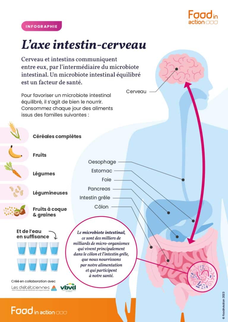 L’axe intestin cerveau et le microbiote intestinal en image - FoodinAction