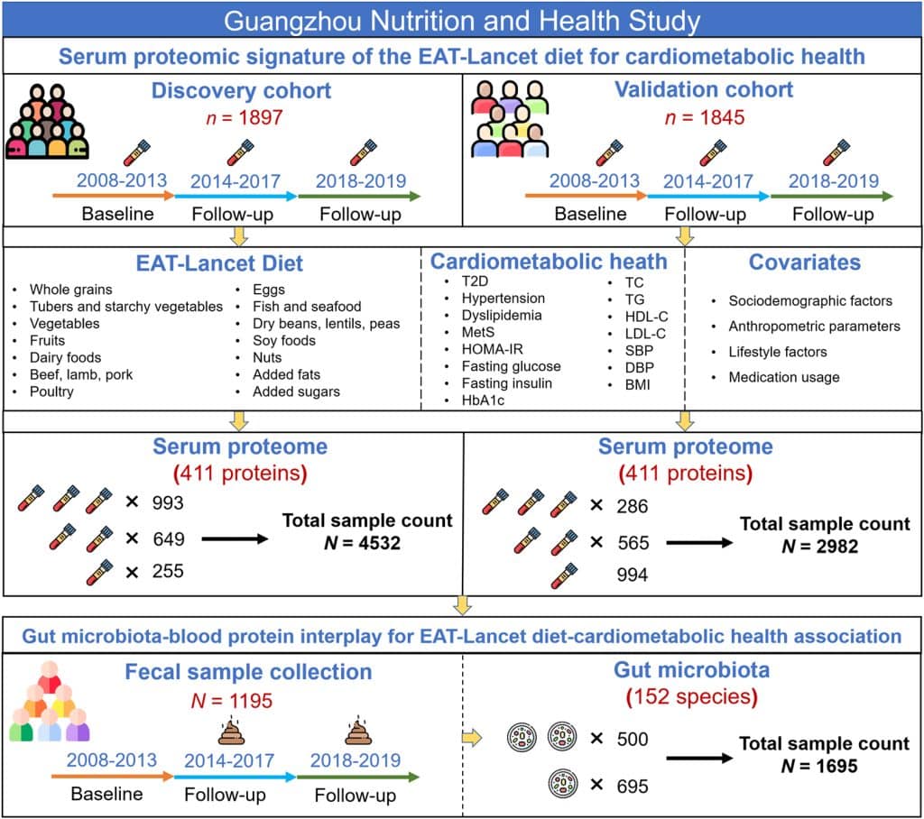 EAT-Lancet et santé cardiométabolique : de nouveaux liens - Food in Action